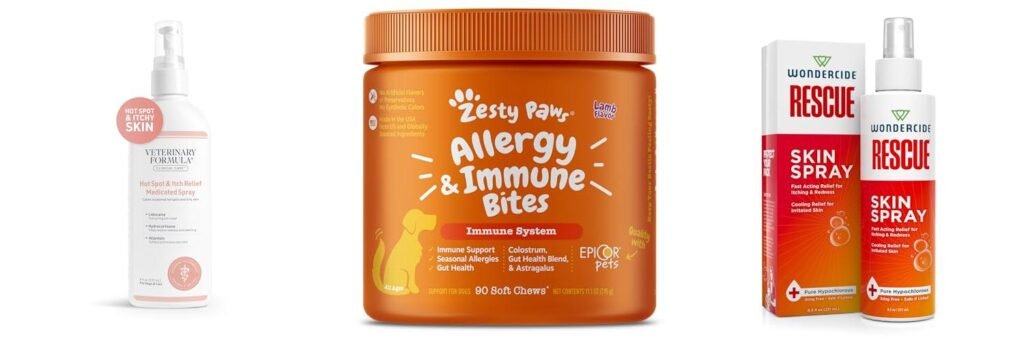Best Dog Anti Itch - Top 5 Picks & Review