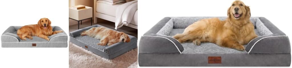 - Top 5 Dog Beds for Labradors: A Comfort Guide