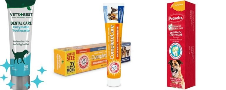 Best Enzymatic Dog Toothpaste - Top 5 Picks & Review