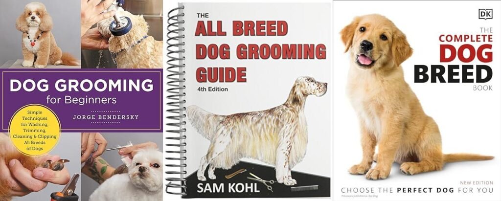 Top 5 Beginner Dog Breeds: Your First Pet Guide